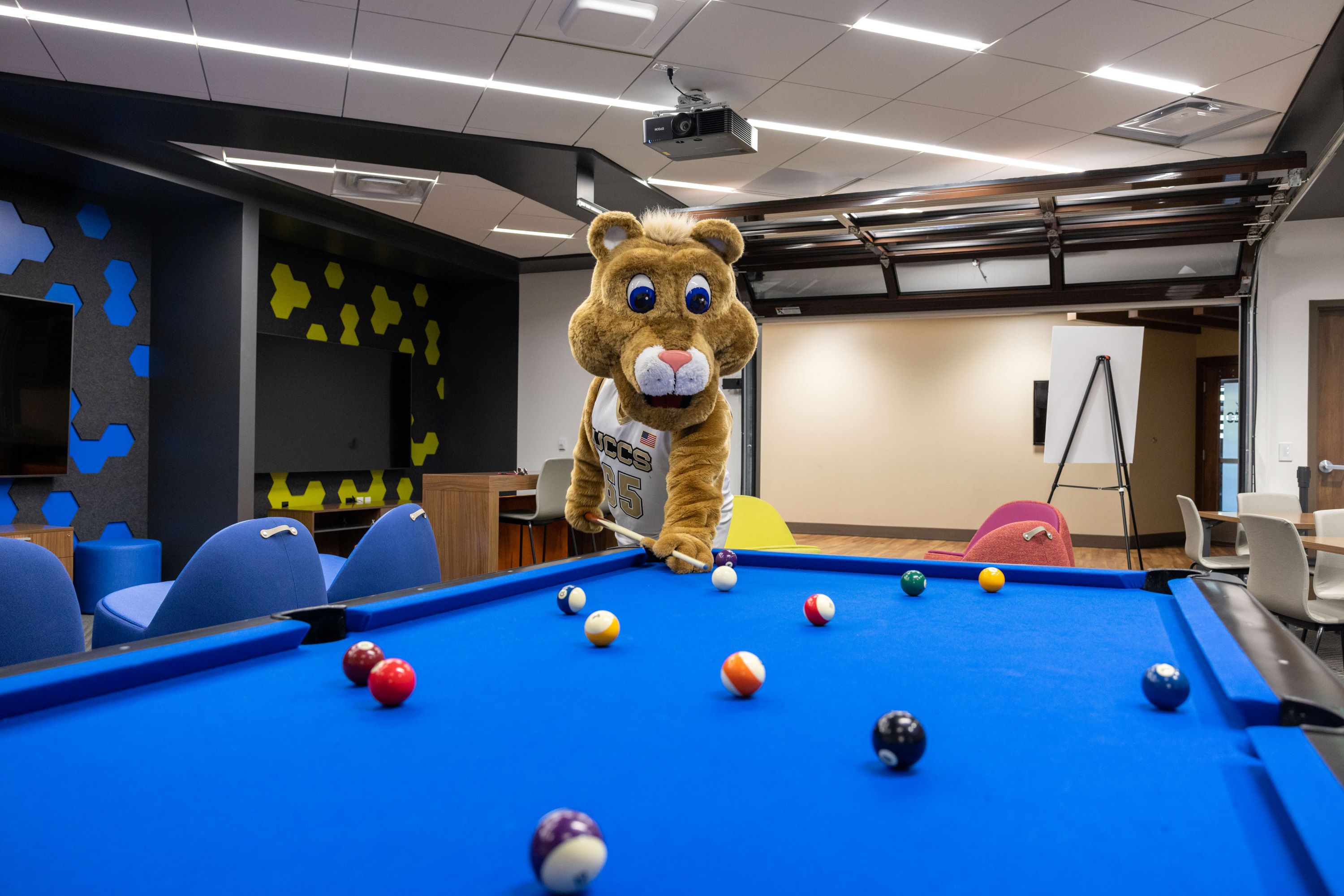 Alpine Village Apartments | Residence Life & Housing